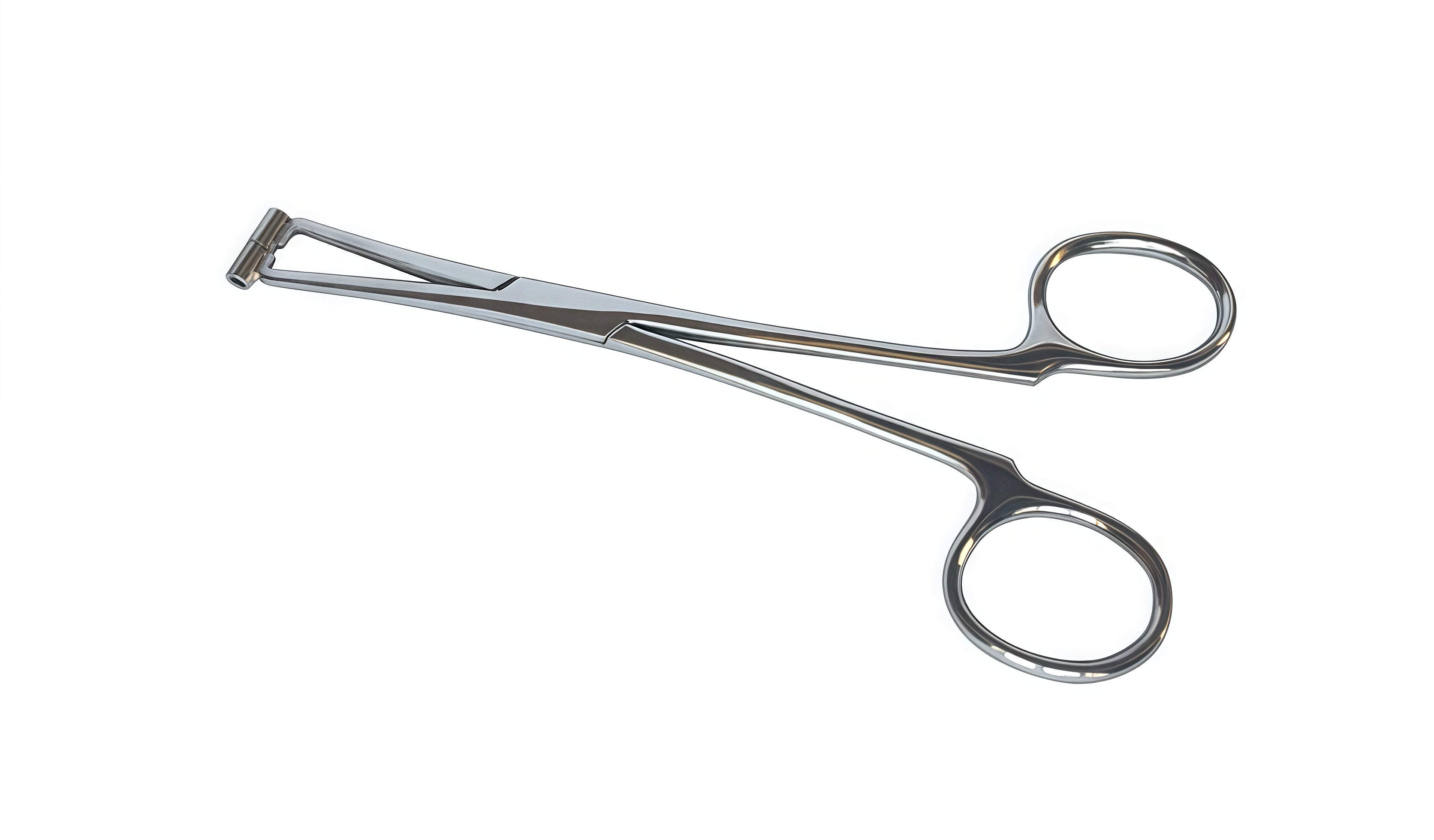 Piercing Forceps Stainless Steel | Perfectra Distribution